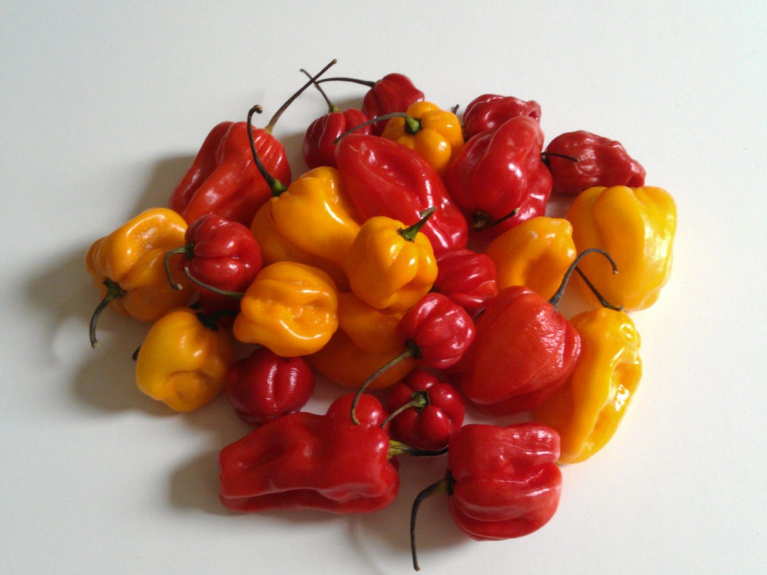 ADJUMA – Peper 1kg – Extra Bestelling - Rijst.Nu - Voor de grootste ...